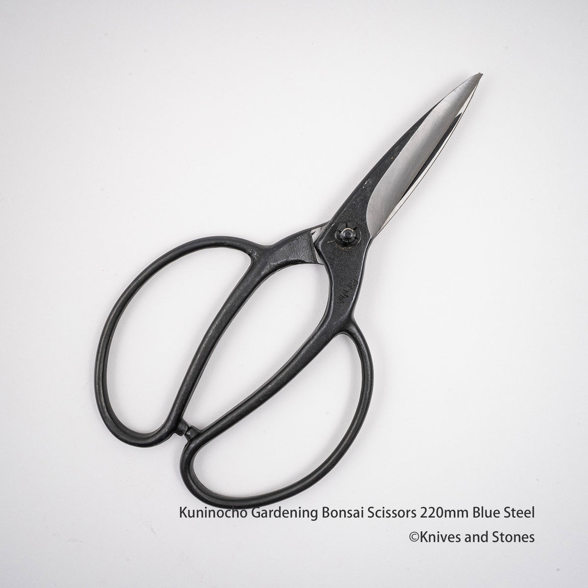 Golden Star "Kuninocho" Gardening Scissors by Kinboshi – Knives and Stones